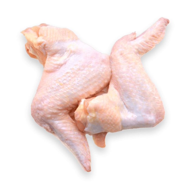 LARGEST POULTRY WHOLESALE SUPPLIER – MCY FOOD SUPPLY
