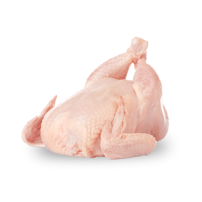 LARGEST POULTRY WHOLESALE SUPPLIER – MCY FOOD SUPPLY